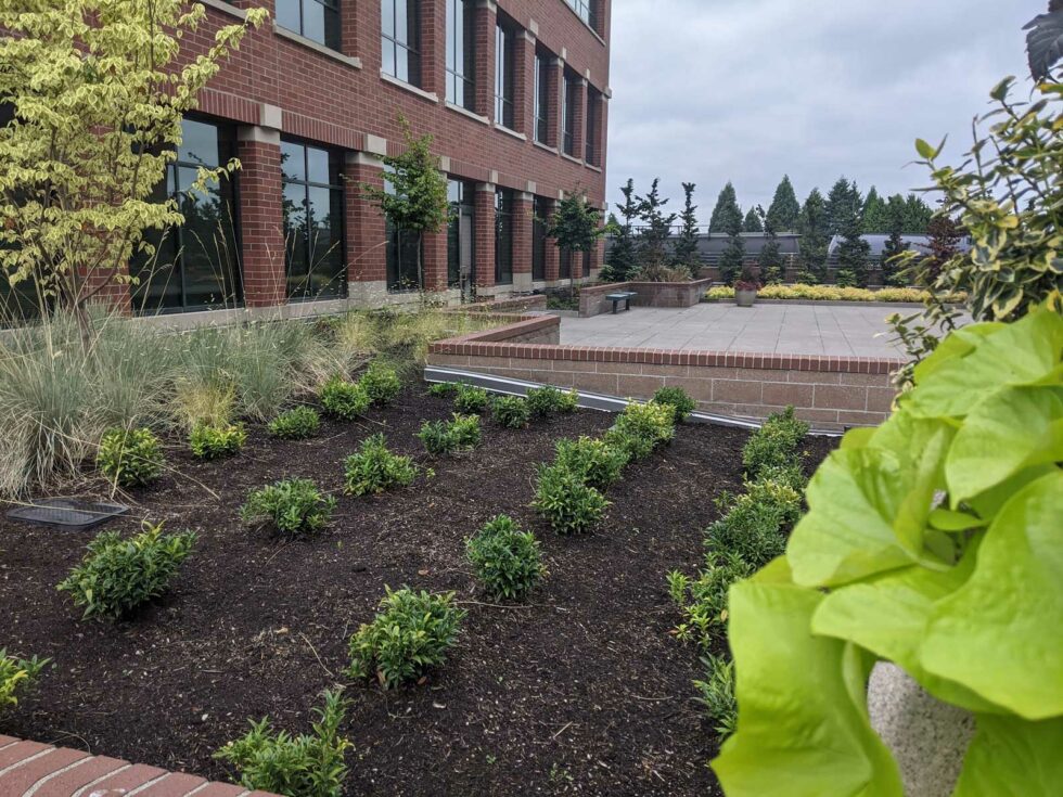 Landscape Construction - Brookstone