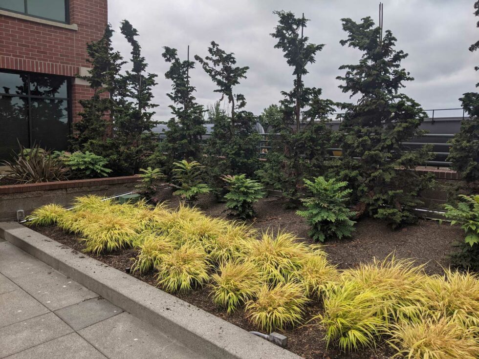 Landscape Construction - Brookstone